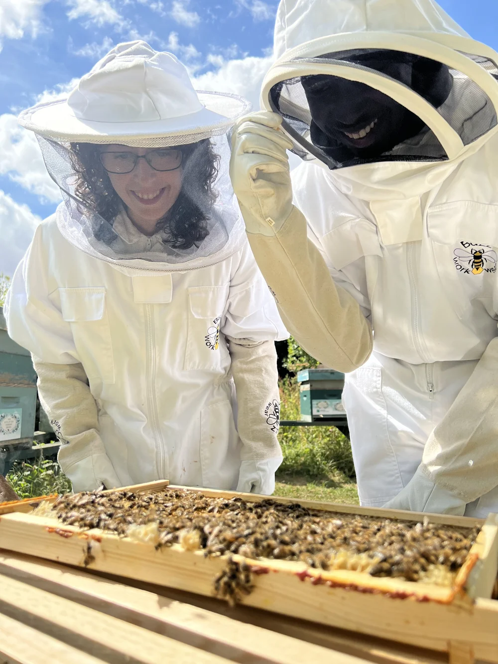 Bee Experiences — Sunnyfields Bees