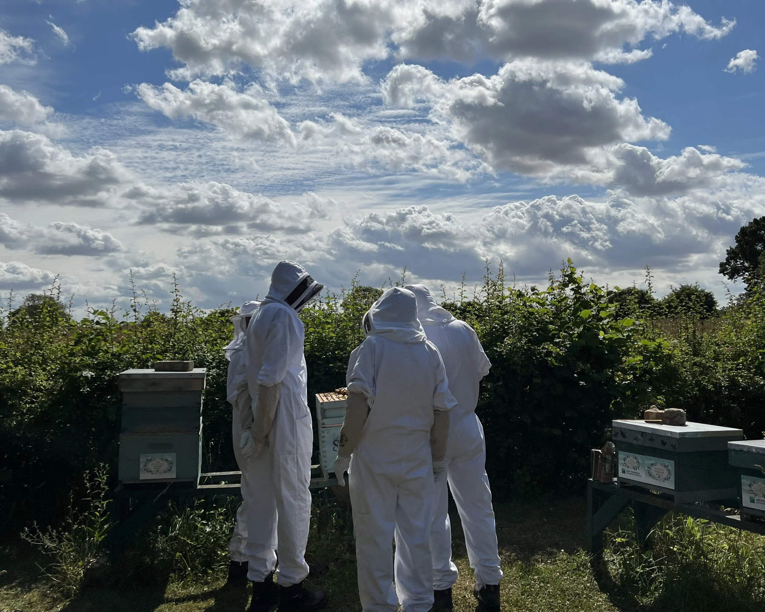 Bee Experiences — Sunnyfields Apiaries