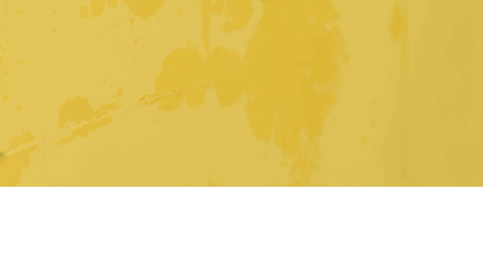 Alexa The Realtor - Real Estate Services in Cambridge