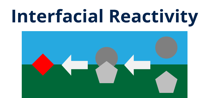 Research — Ohno Research Group