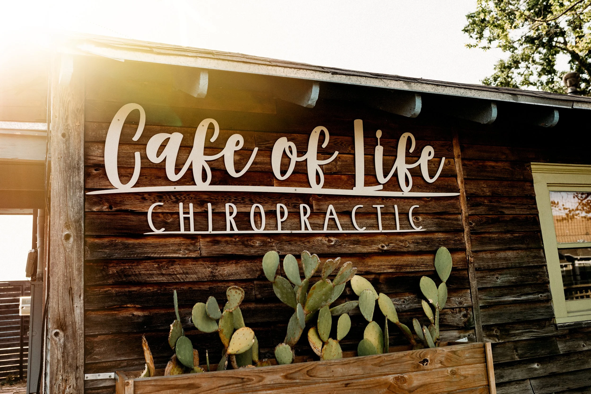 About Us — Cafe of Life