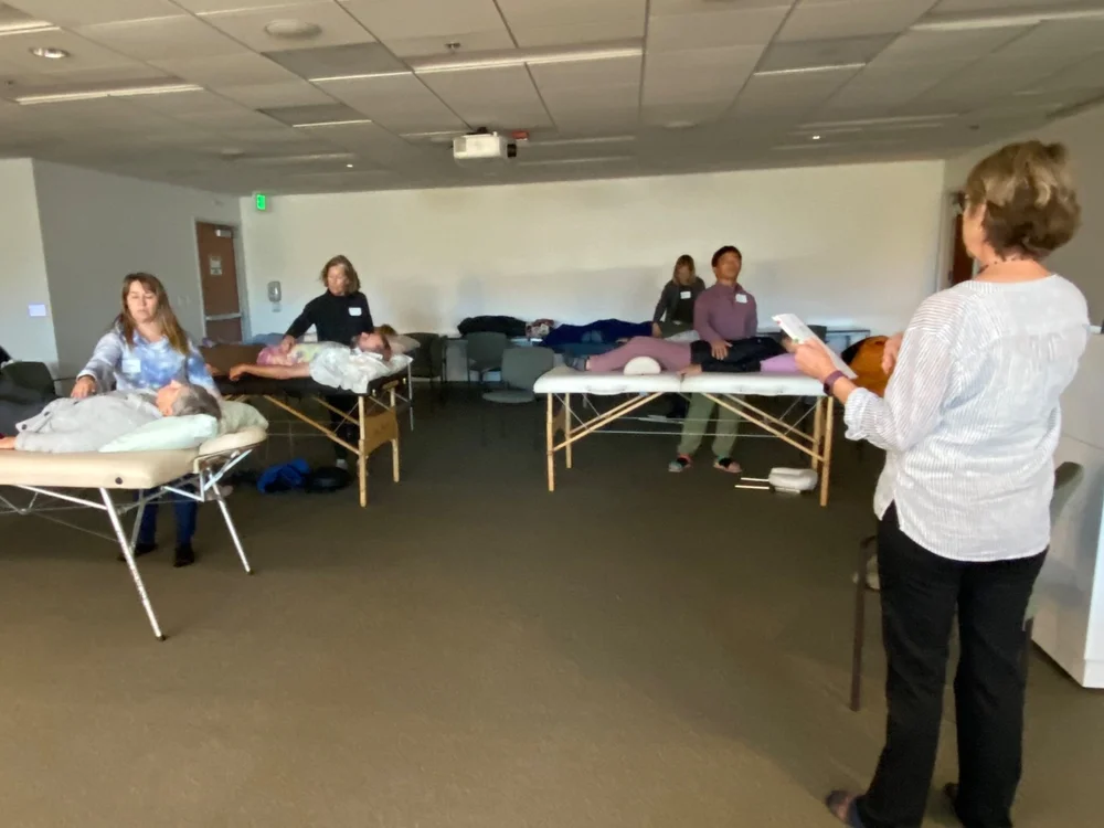 HT Provider Training — Healing Partners of the Central Coast