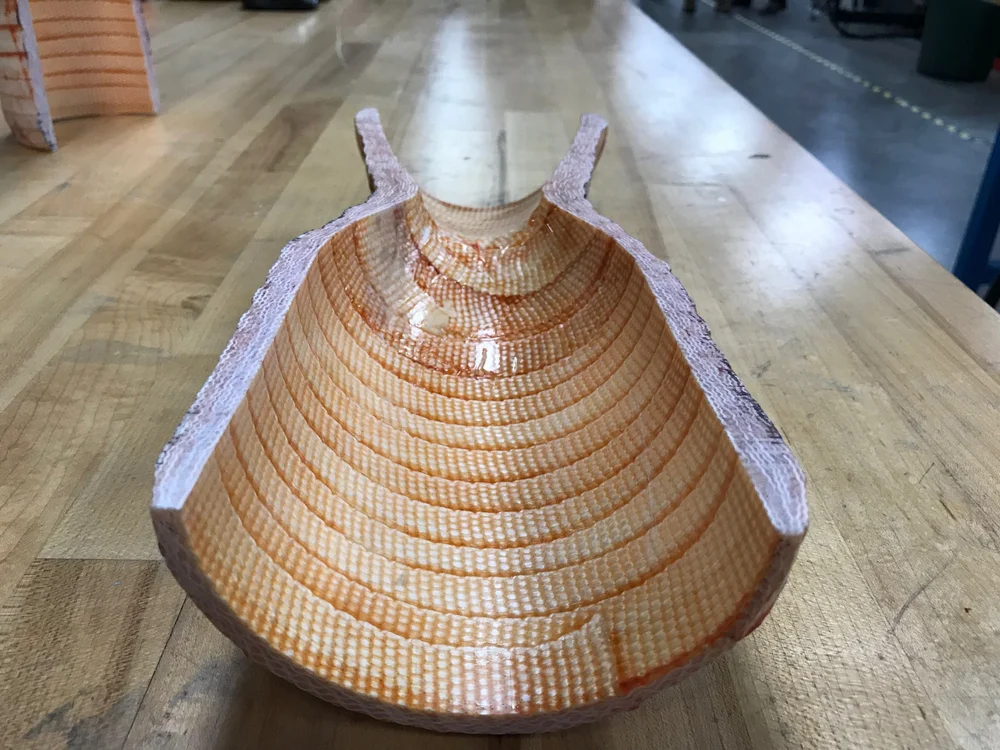 Janus — Rocket Development Lab