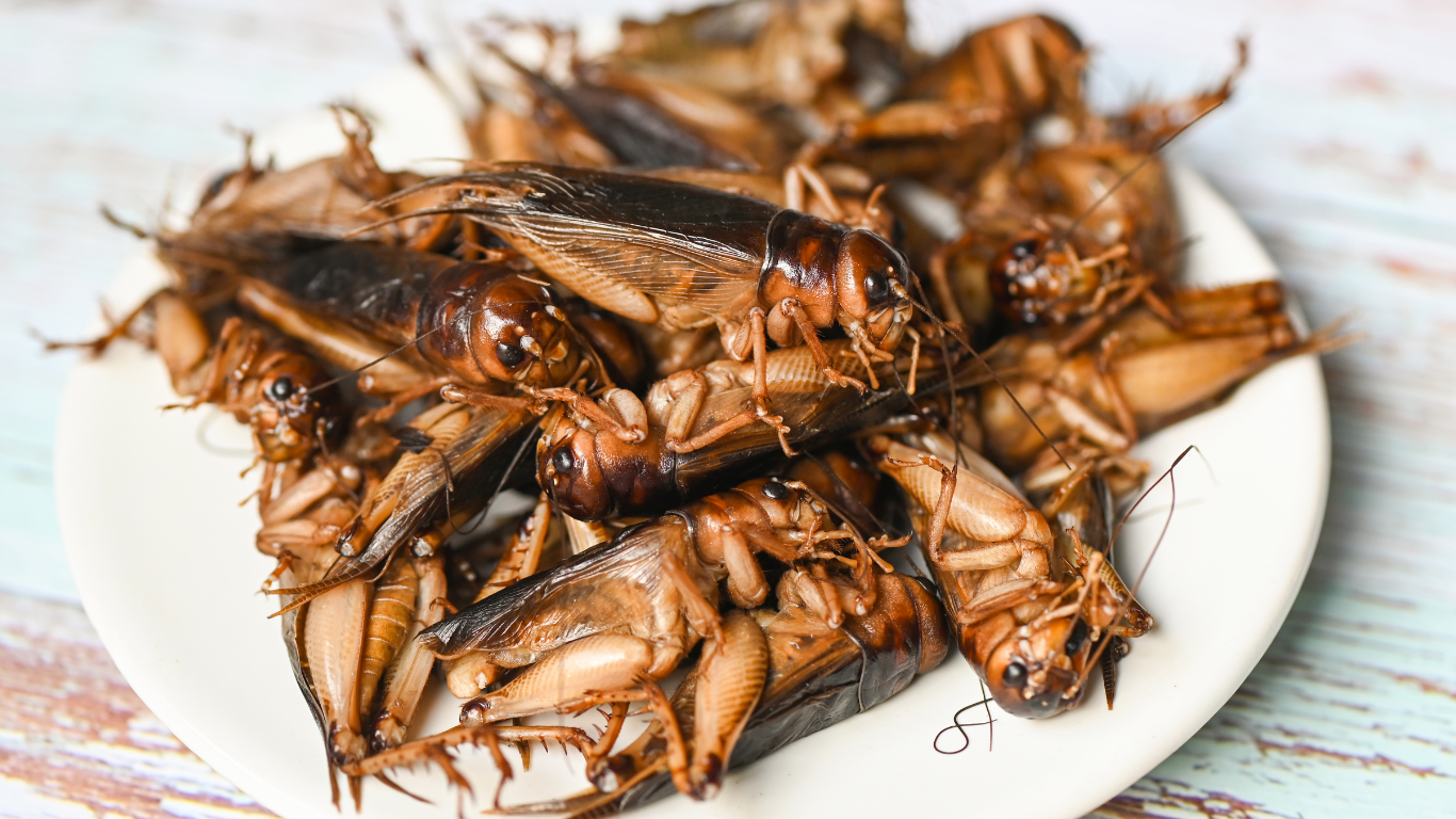 Alternative Protein Sources: A Balanced Examination of Benefits ...