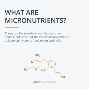 Last Chance Reduced Price Micronutrient Panel Testing — THRIVE NUTRITION