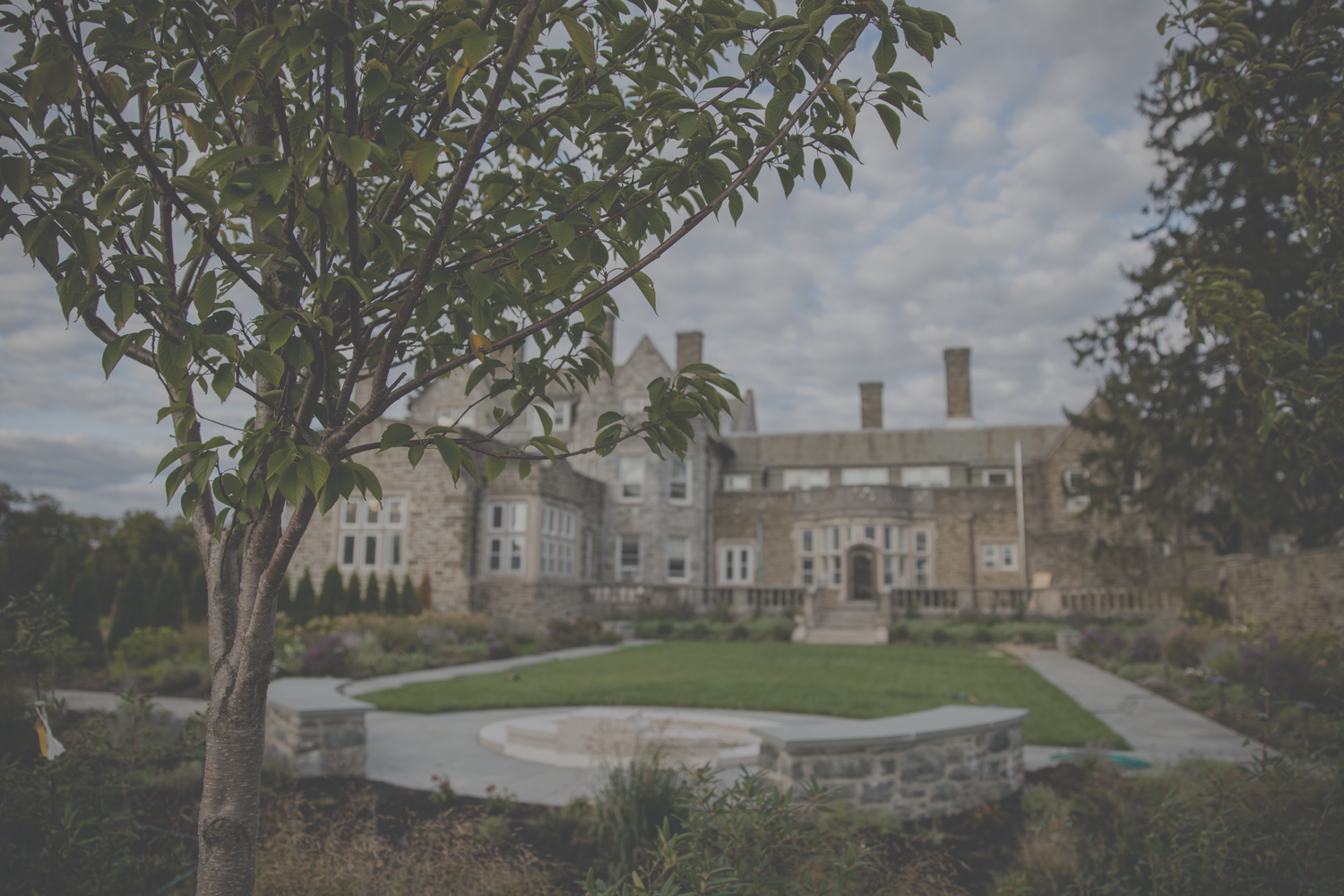 Greystone Programs