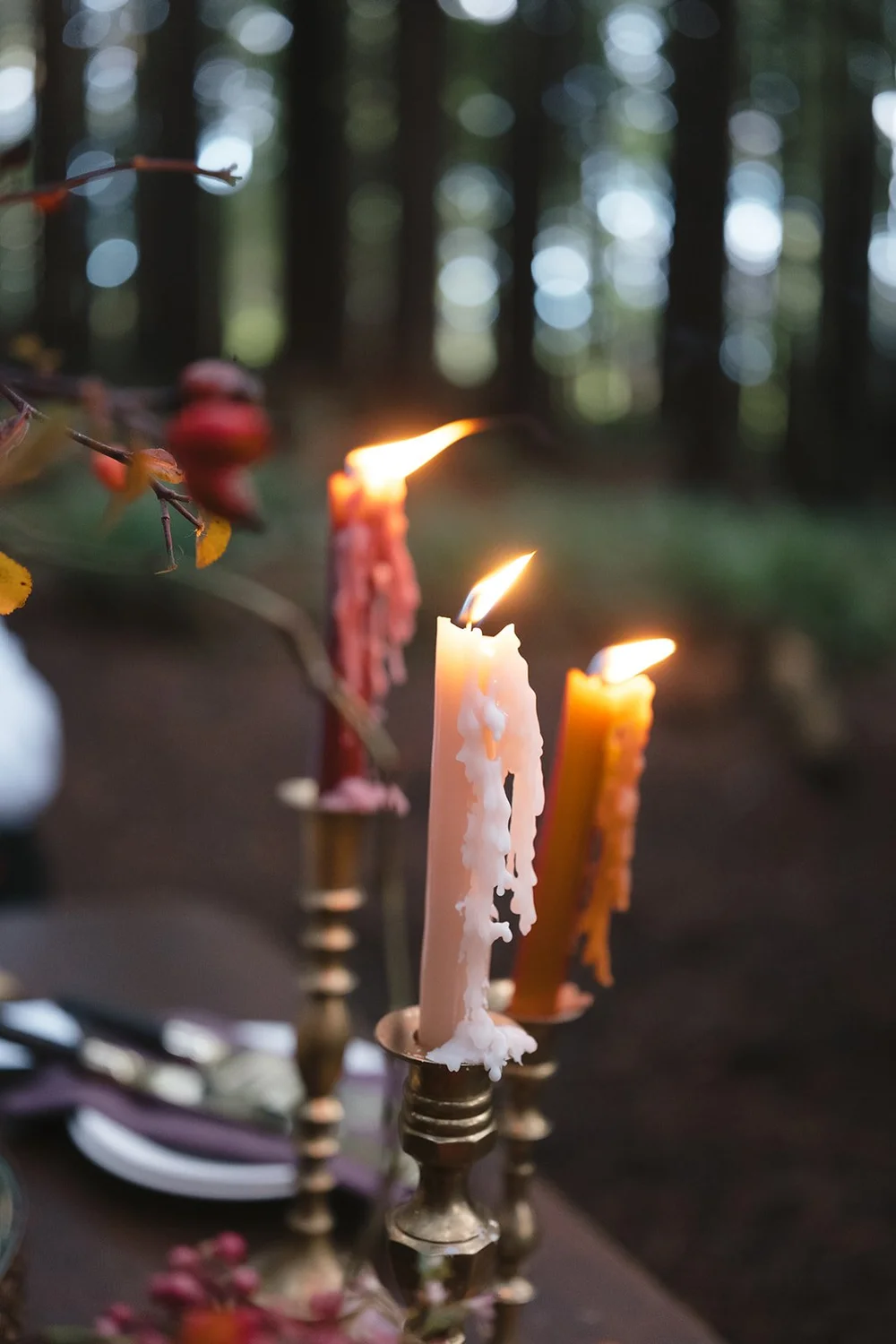 alex + travis — Nightfall Flora