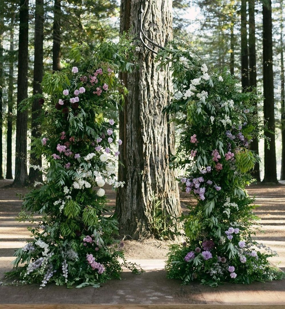 konstanze + chris — Nightfall Flora