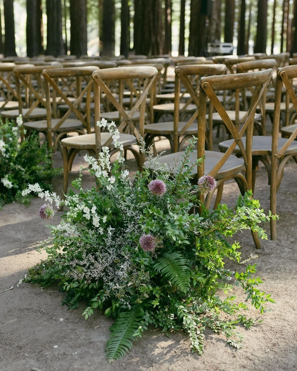 konstanze + chris — Nightfall Flora