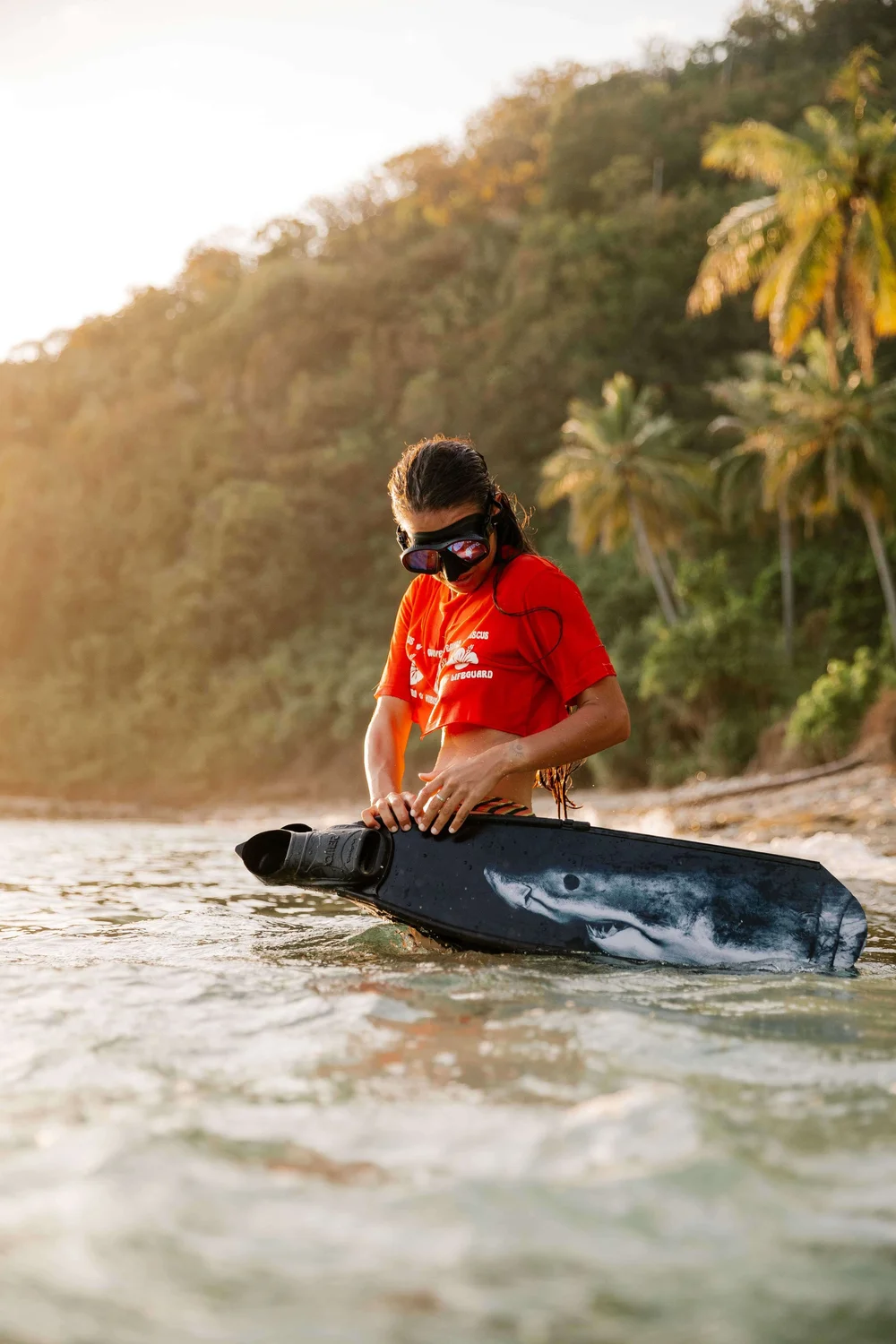 merch — Project Hiu