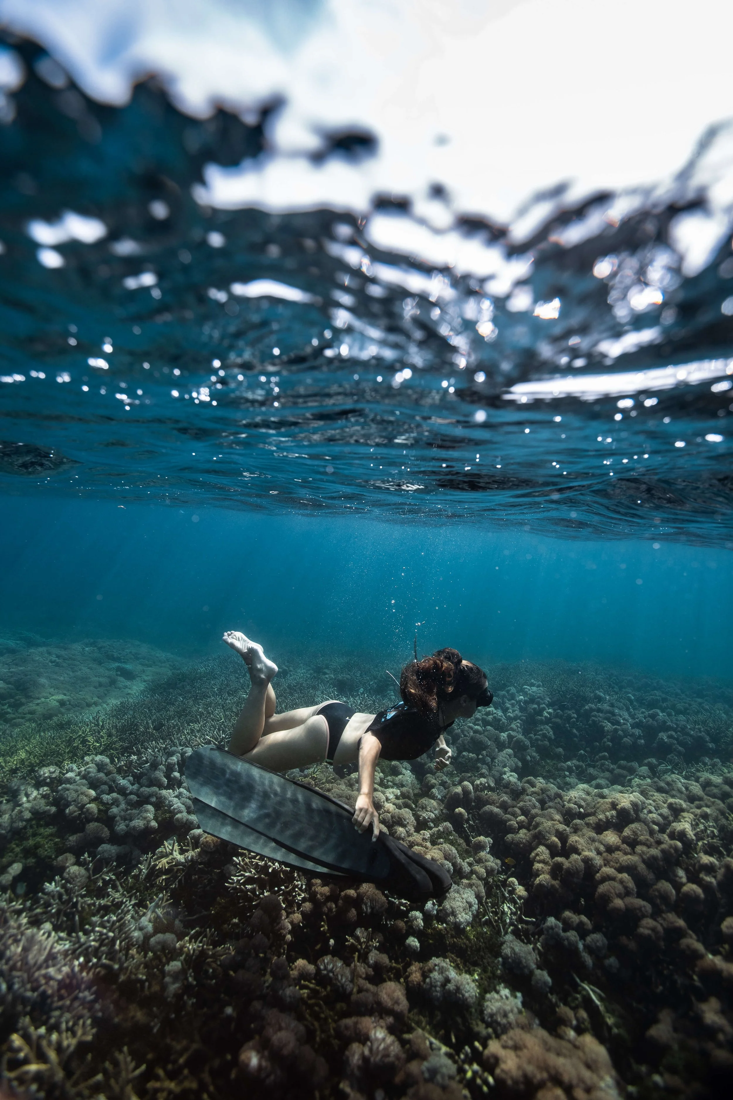 join us on a trip — Project Hiu