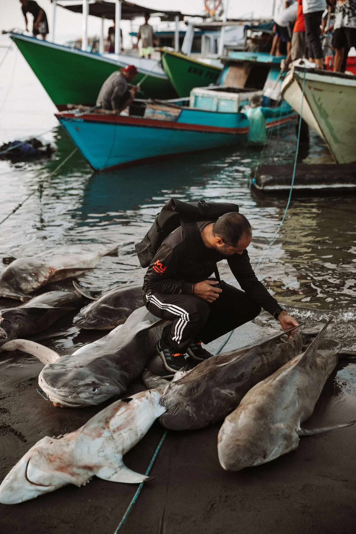 Foundation — Project Hiu