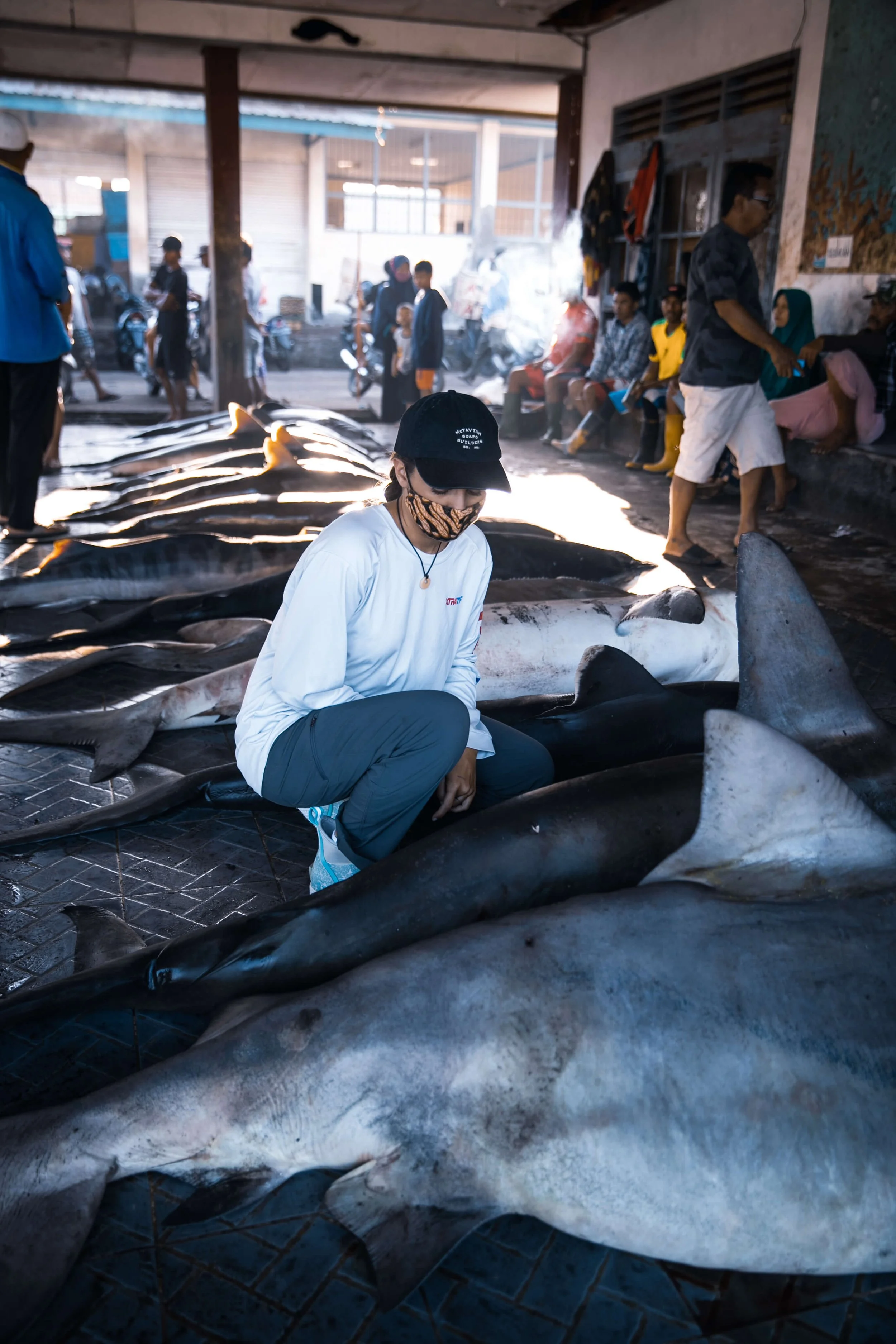 join us on a trip — Project Hiu