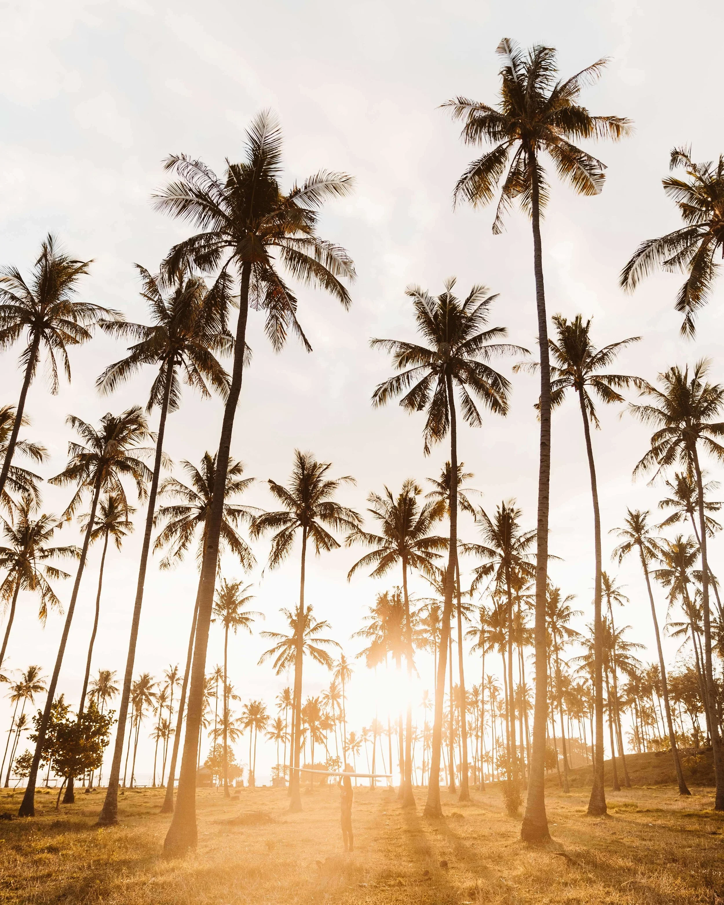 join us on a trip — Project Hiu