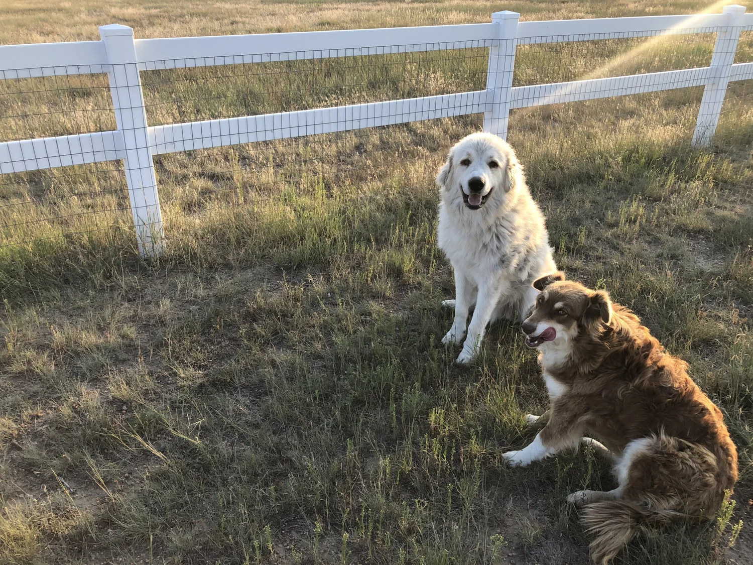 The Fence Clamp - Metal Fence Wire and Panel Clips, Made in USA!
