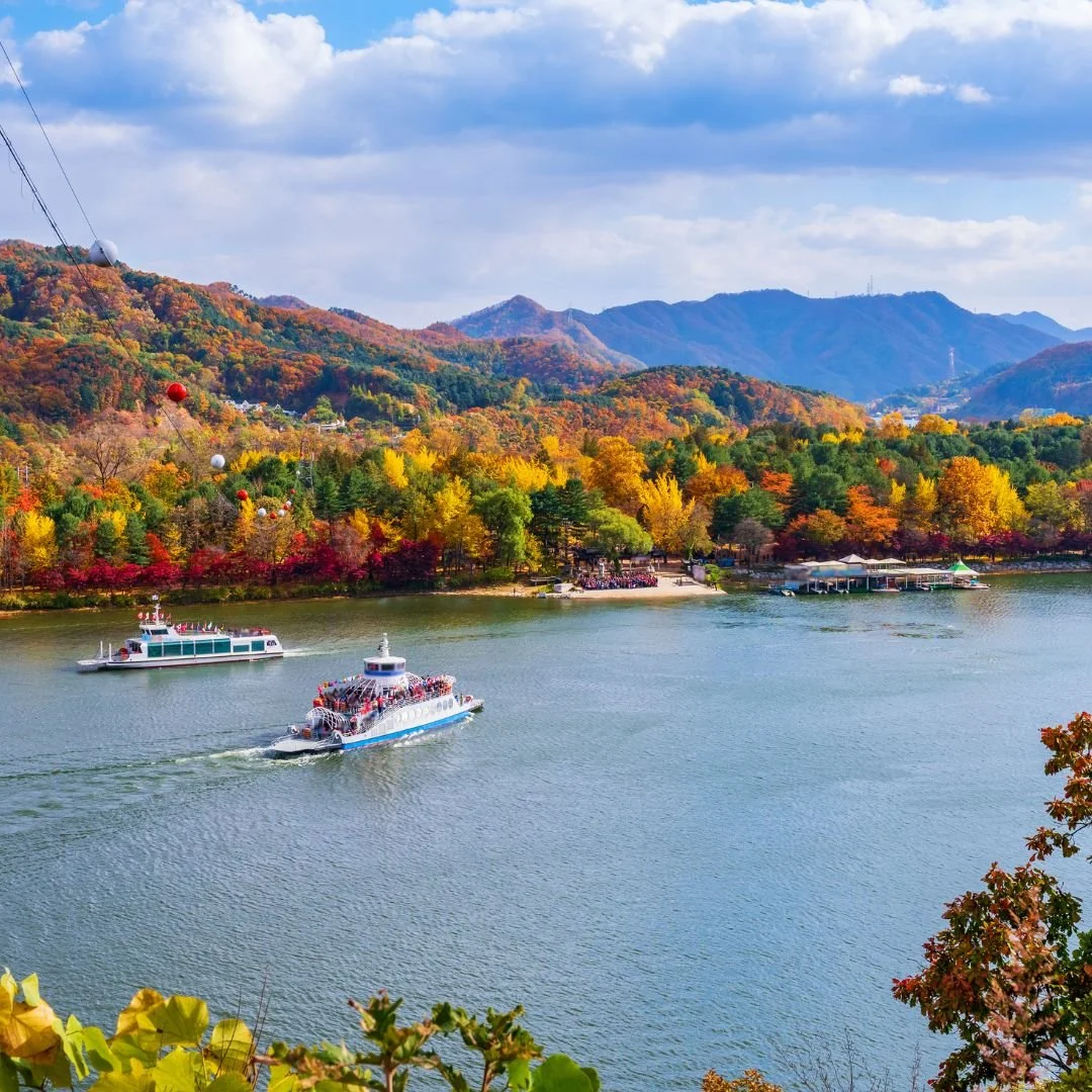 Ultimate Guide to Nami Island: Tours, Tickets, & Shuttle Bus from Seoul