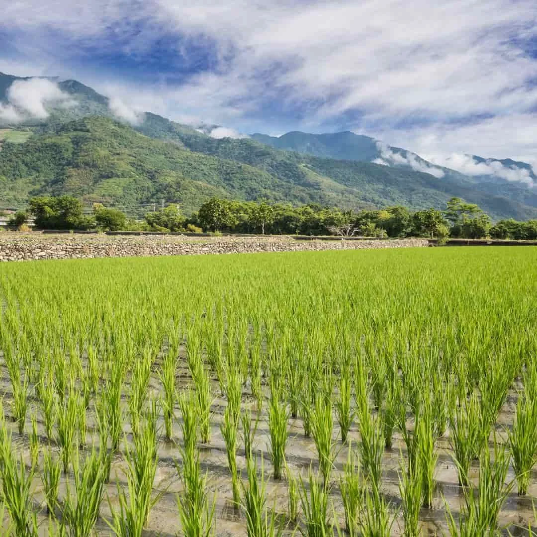 Travel via THSR: Taiwan High Speed Rail Tickets, Price, & Routes