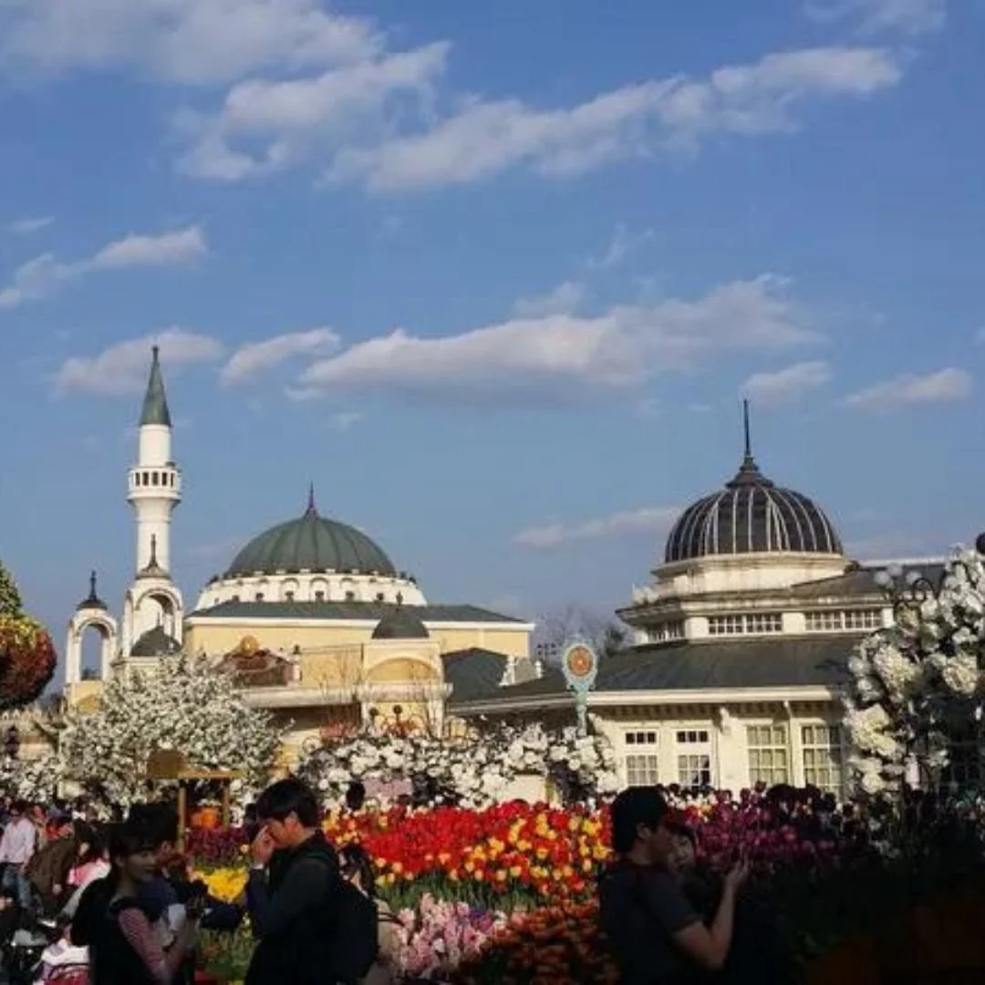 Complete Guide to Everland: Tickets, Rides, & Shuttle Bus from Seoul