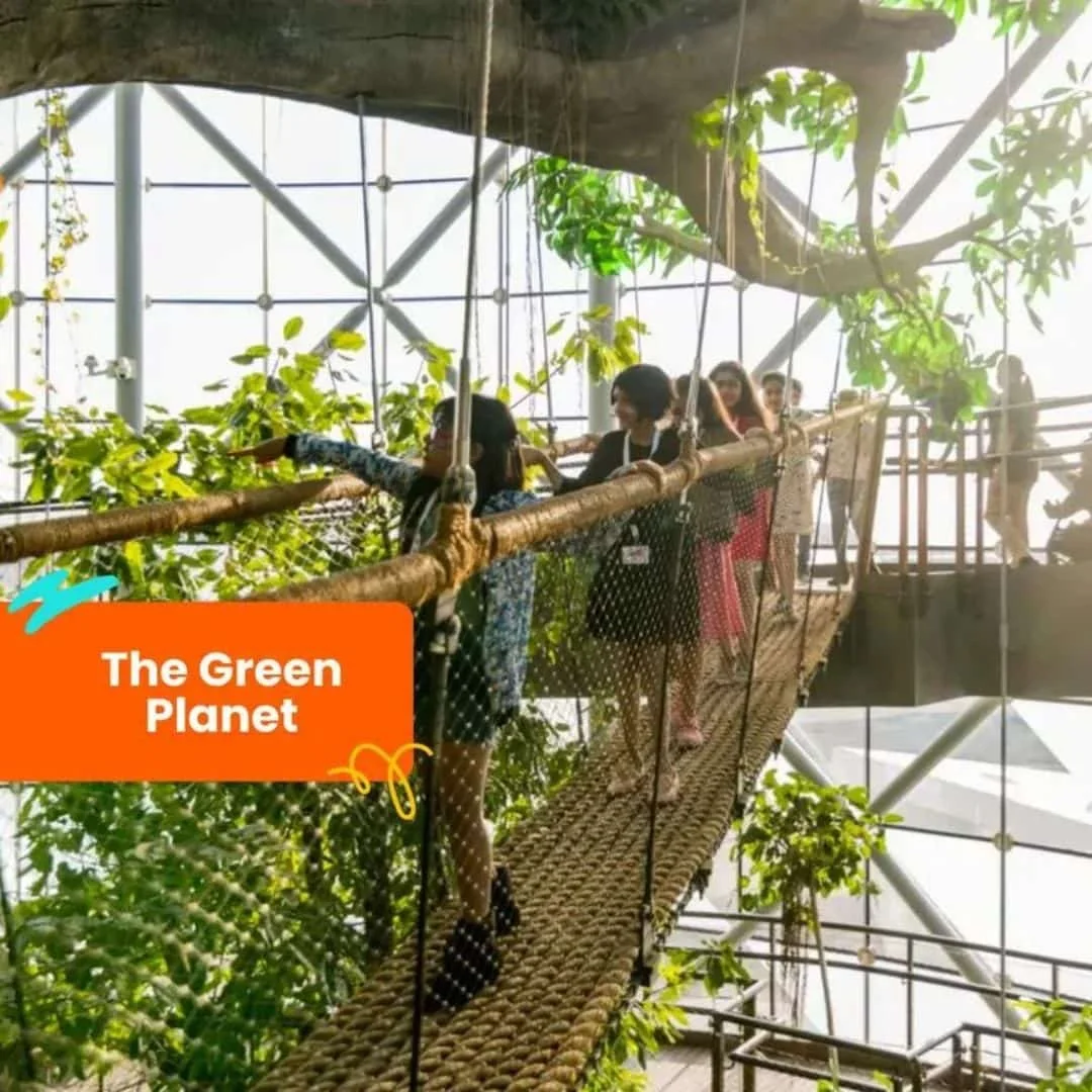 All About Klook Pass Dubai: Price, Reviews, & How to Use