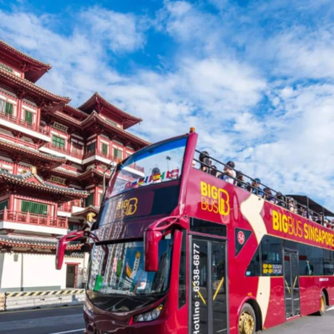 What to Know About Big Bus Singapore: Tickets, Map, & Reviews