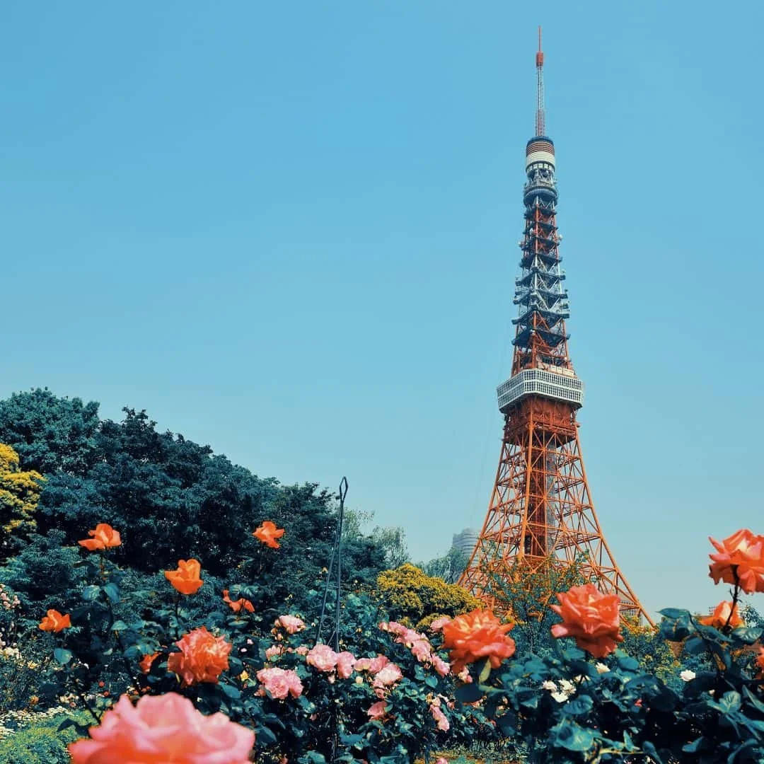 Klook Pass Tokyo: Attractions You Can Visit, Reviews, & More