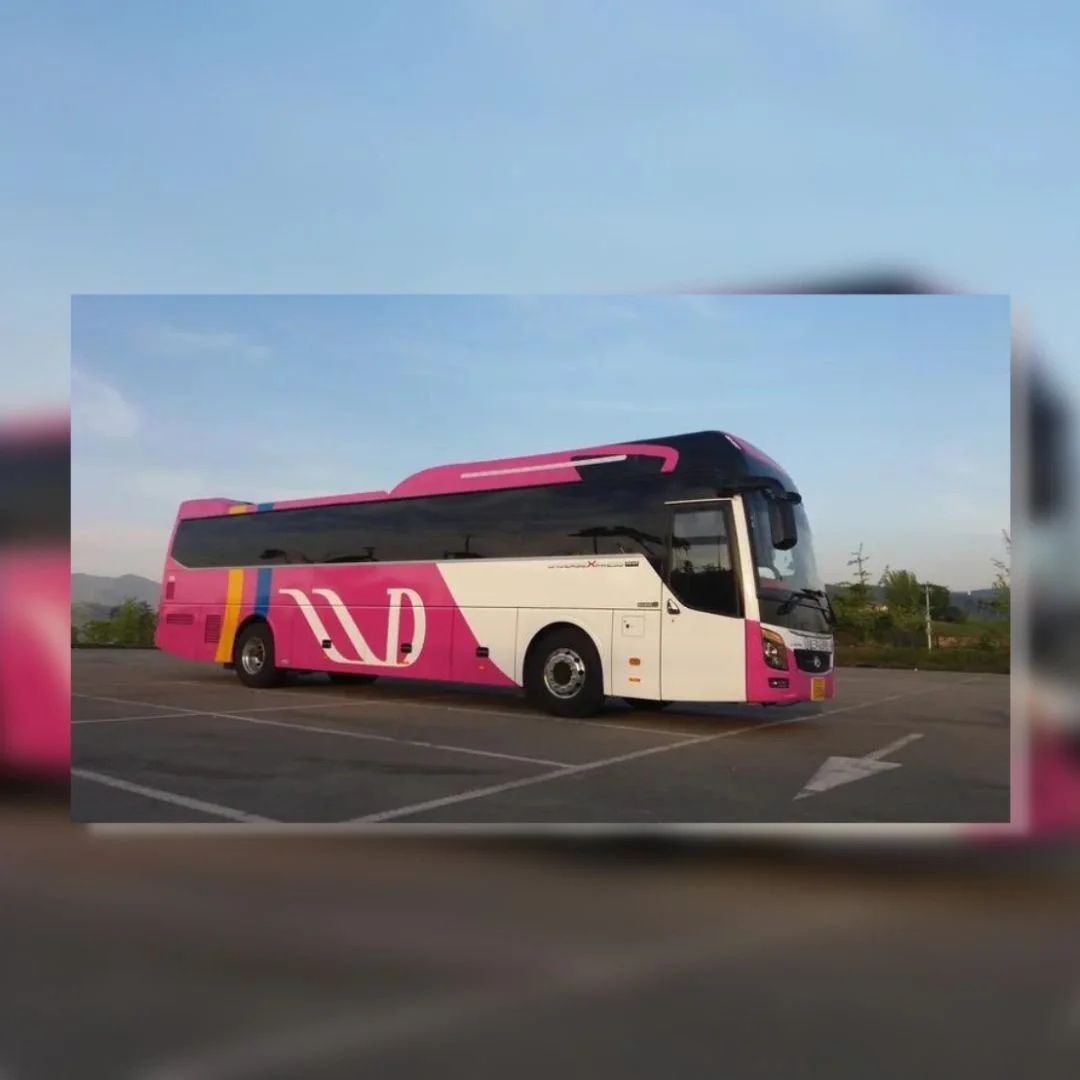 Complete Guide to Everland: Tickets, Rides, & Shuttle Bus from Seoul