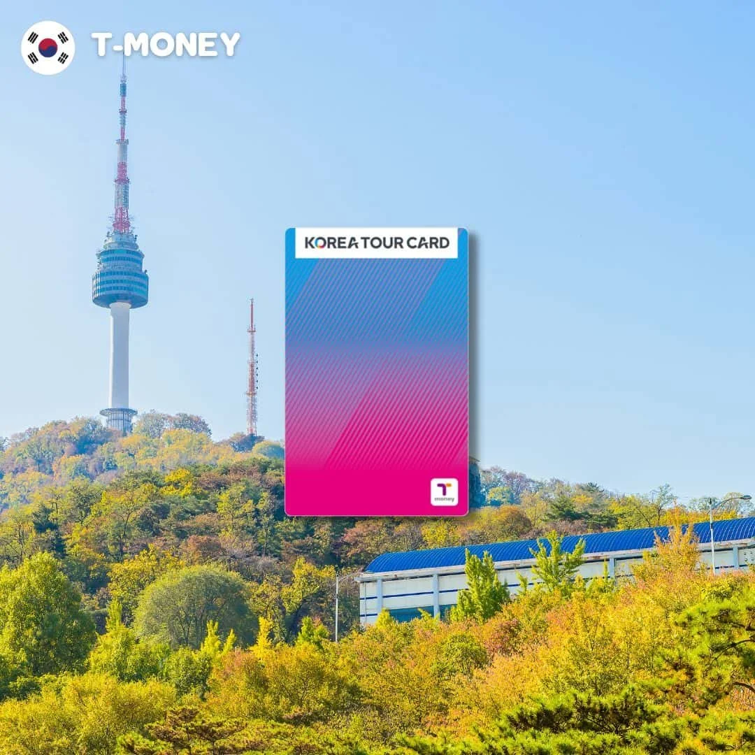 T-Money in Korea: How to Get One for Your Trip!