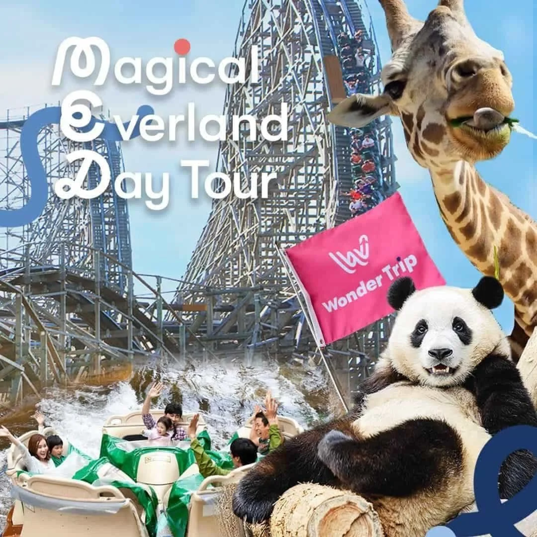 Complete Guide to Everland: Tickets, Rides, & Shuttle Bus from Seoul