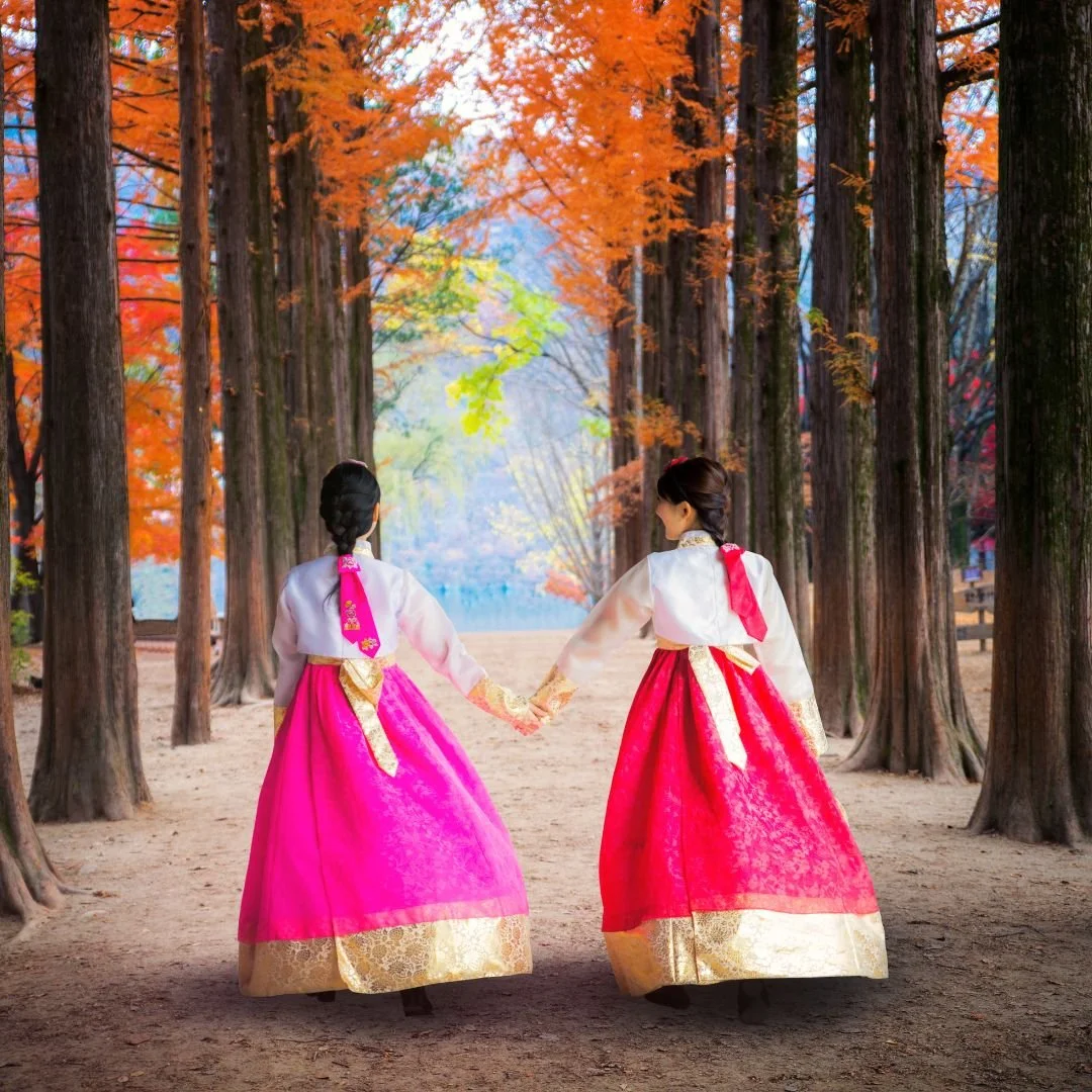 Ultimate Guide to Nami Island: Tours, Tickets, & Shuttle Bus from Seoul