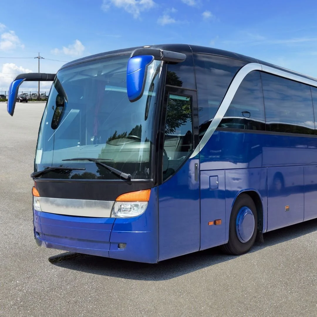 Ultimate Guide to Nami Island: Tours, Tickets, & Shuttle Bus from Seoul