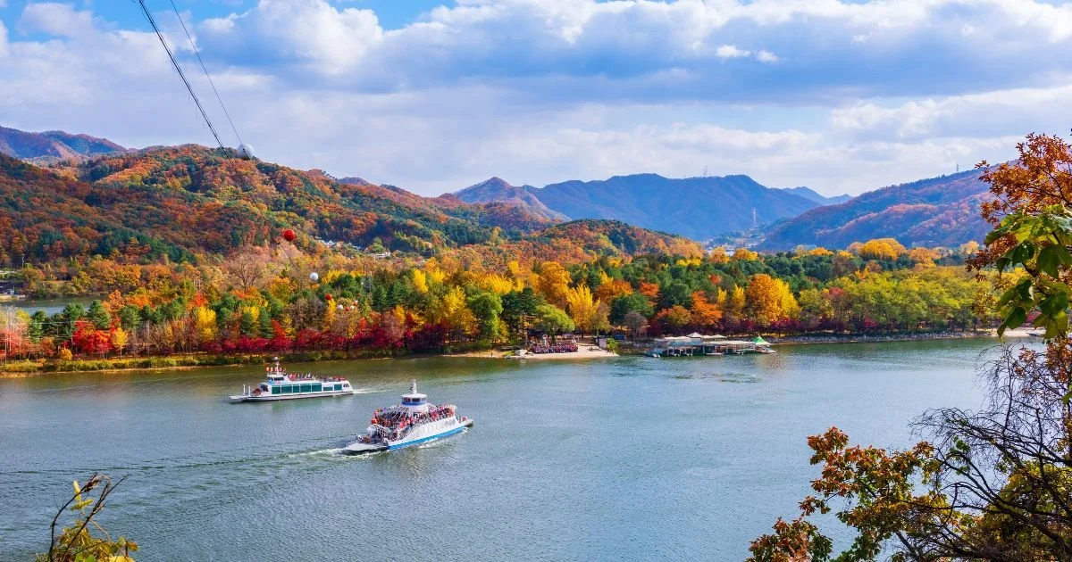 Ultimate Guide to Nami Island: Tours, Tickets, & Shuttle Bus from Seoul