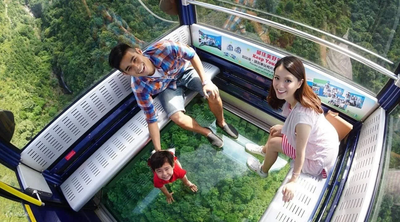 Guide to Ngong Ping 360 Cable Car: Tickets, Hours, & Reviews