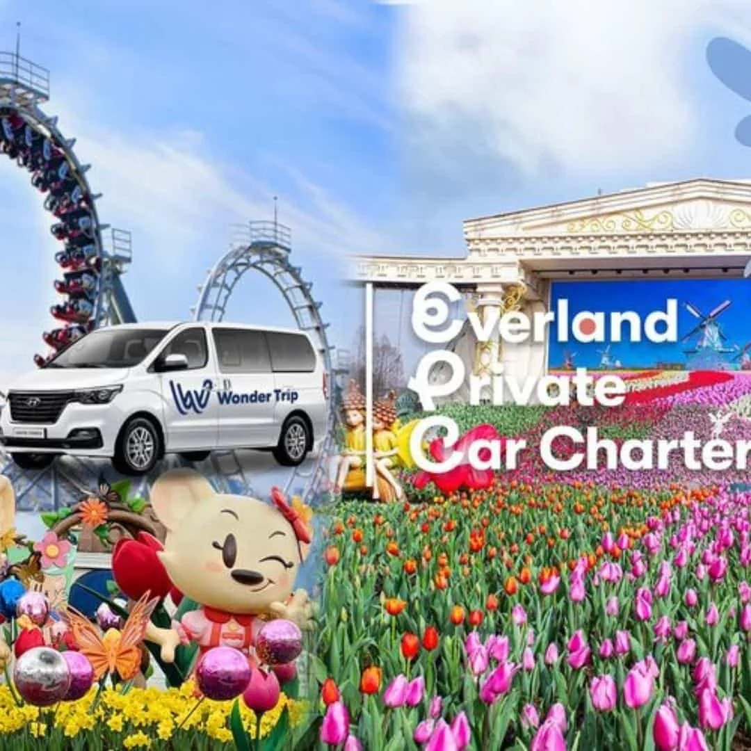Complete Guide to Everland: Tickets, Rides, & Shuttle Bus from Seoul