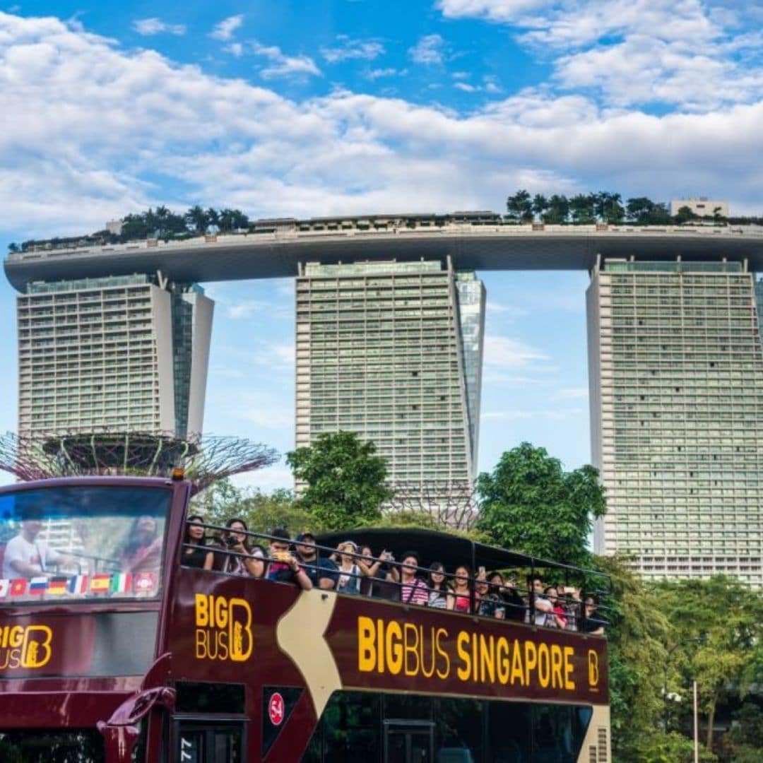 What to Know About Big Bus Singapore: Tickets, Map, & Reviews