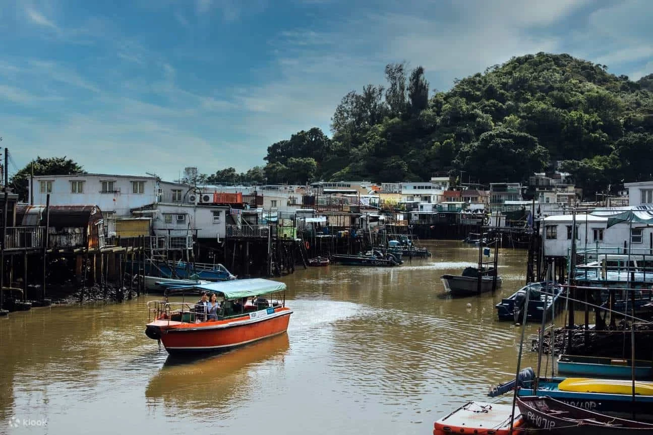 Guide to Ngong Ping 360 Cable Car: Tickets, Hours, & Reviews