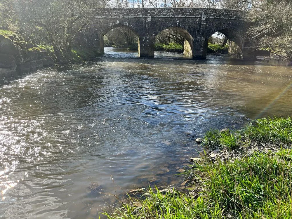 Events and Activities — The Half Moon Inn