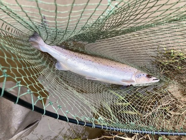 Fishing — The Half Moon Inn