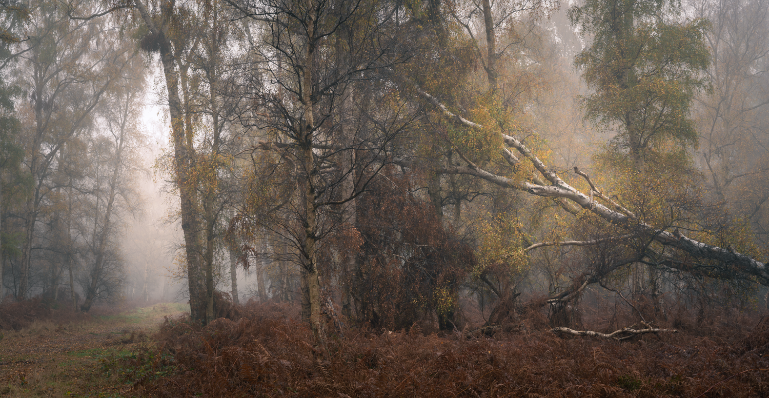 Jamie Overland Photography