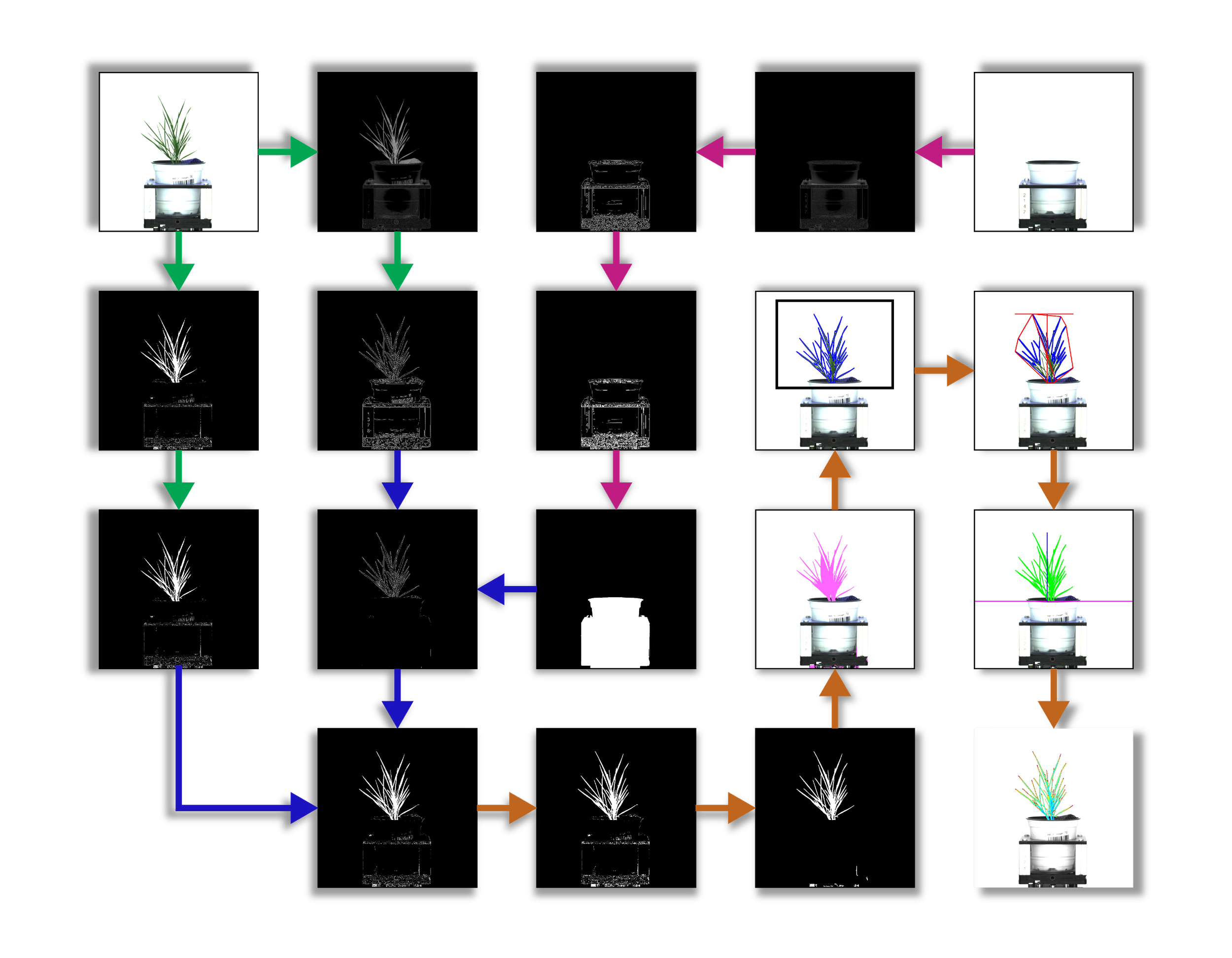 PlantCV