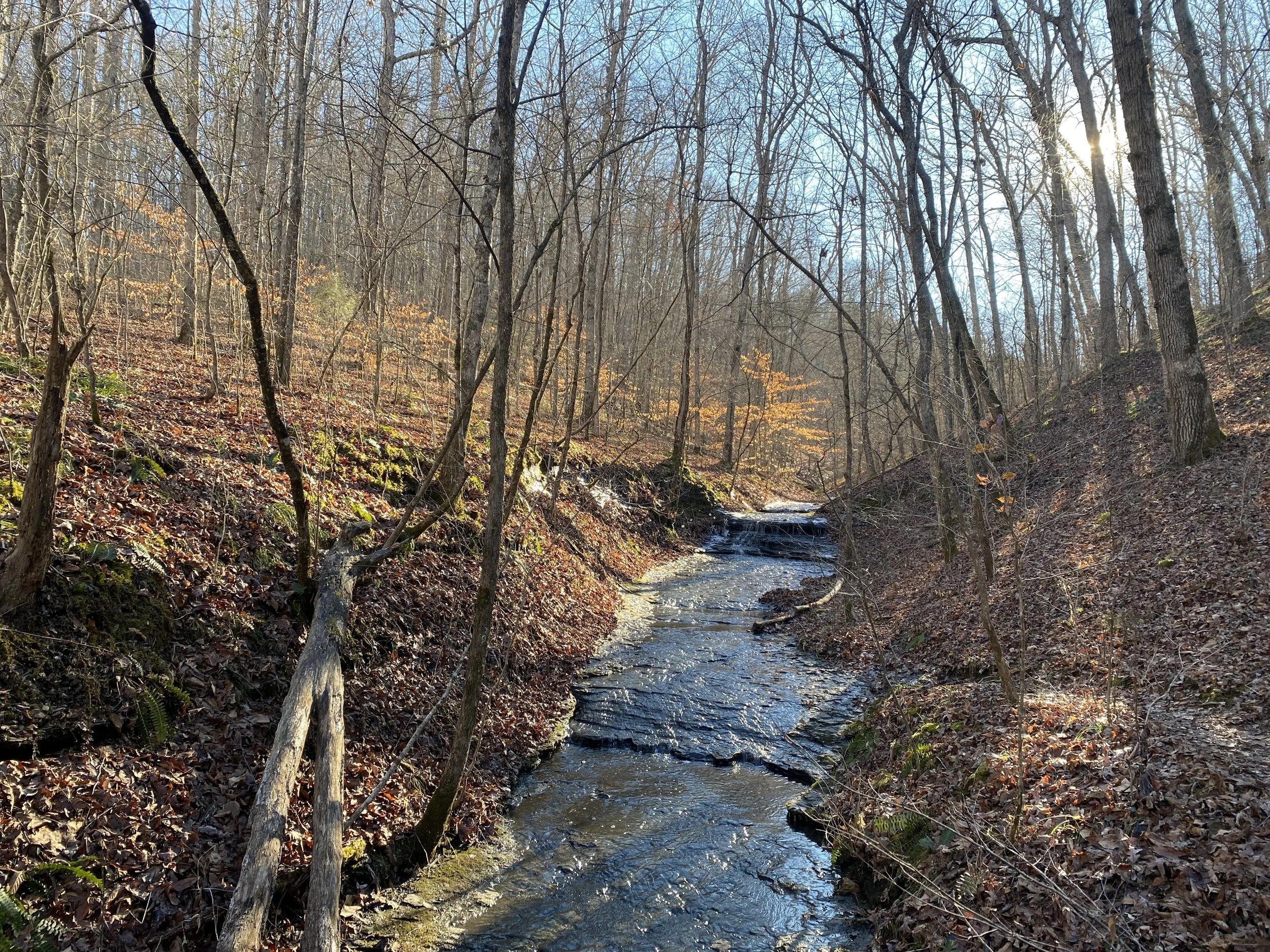 General 2 — Friends of Beaman Park