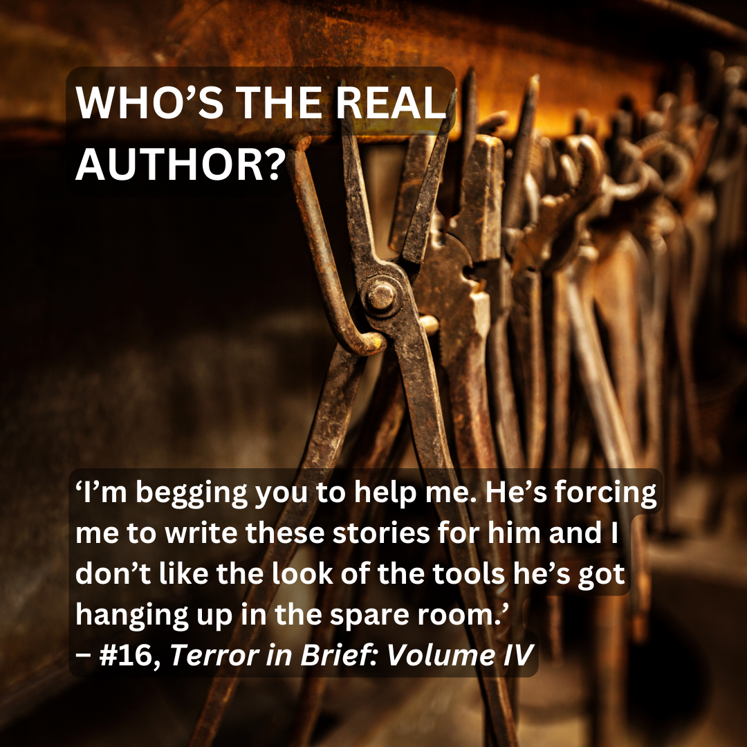 Top 20 Two-Sentence Horror Stories from the Terror in Brief E-books — D ...