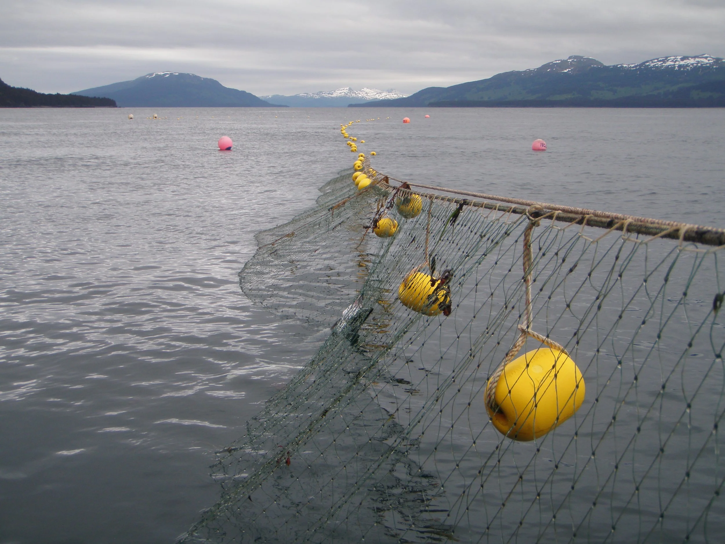 General 6 — Northwest Setnetters Association