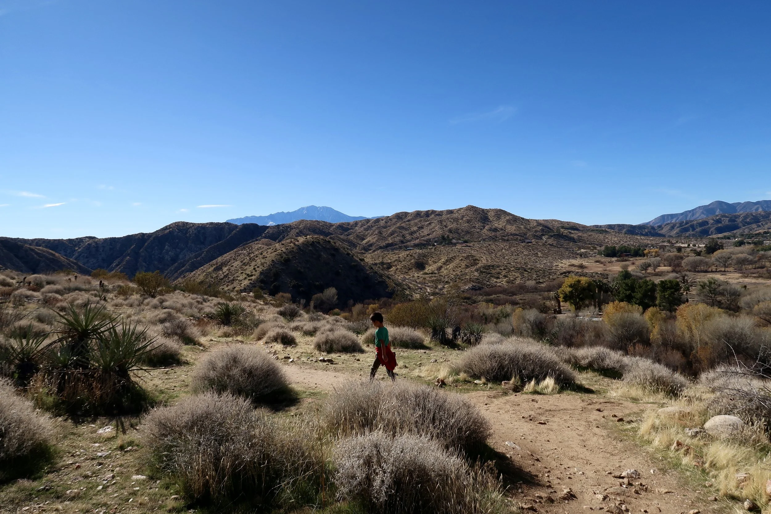 favorite places to hike near palm springs; best hiking areas beyond ...
