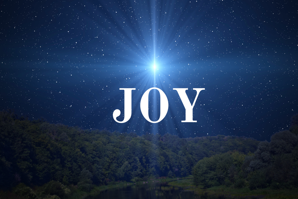 Advent Season Joy — the grace blog