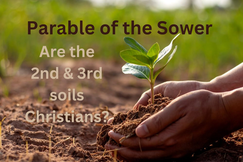 Parable of the Sower Meaning — the grace blog