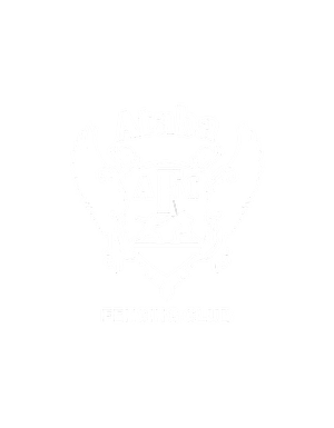 Ataba Fencing Club | Hartland WI