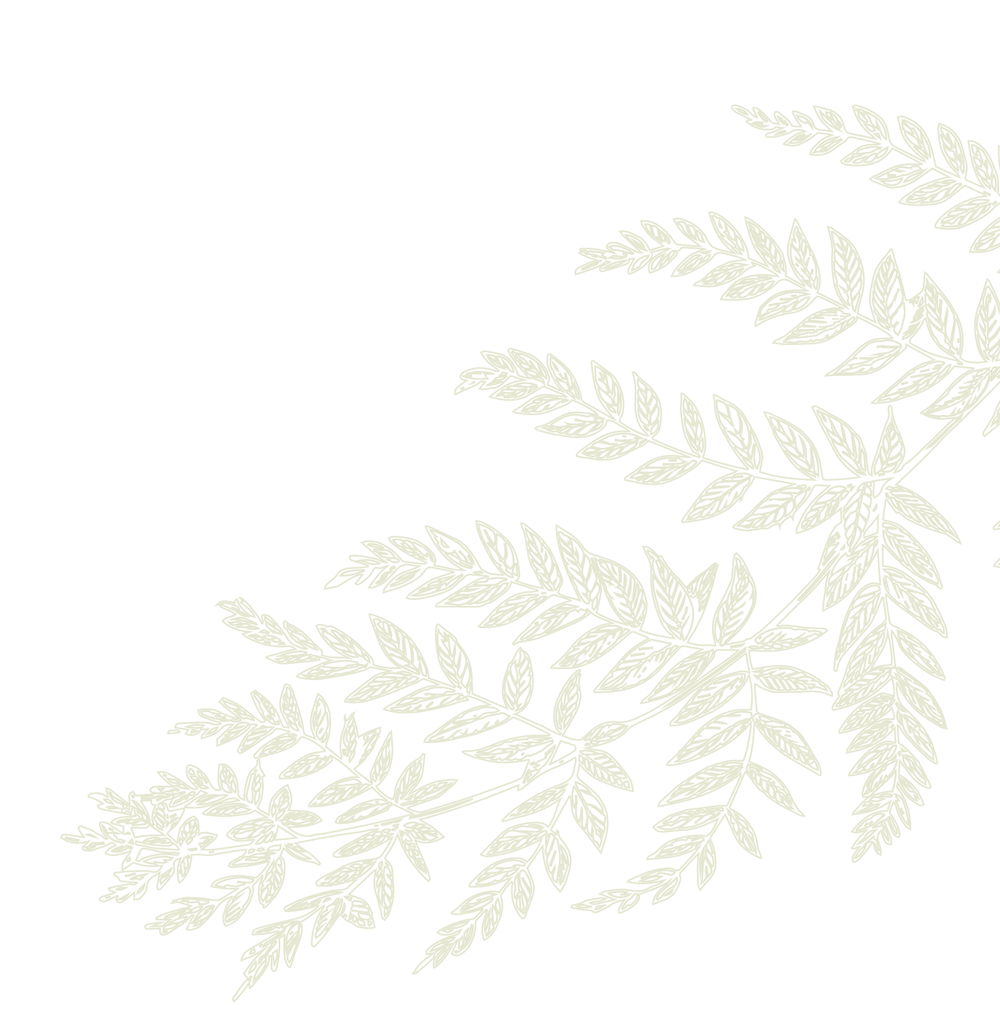 Earth Garden Flowers