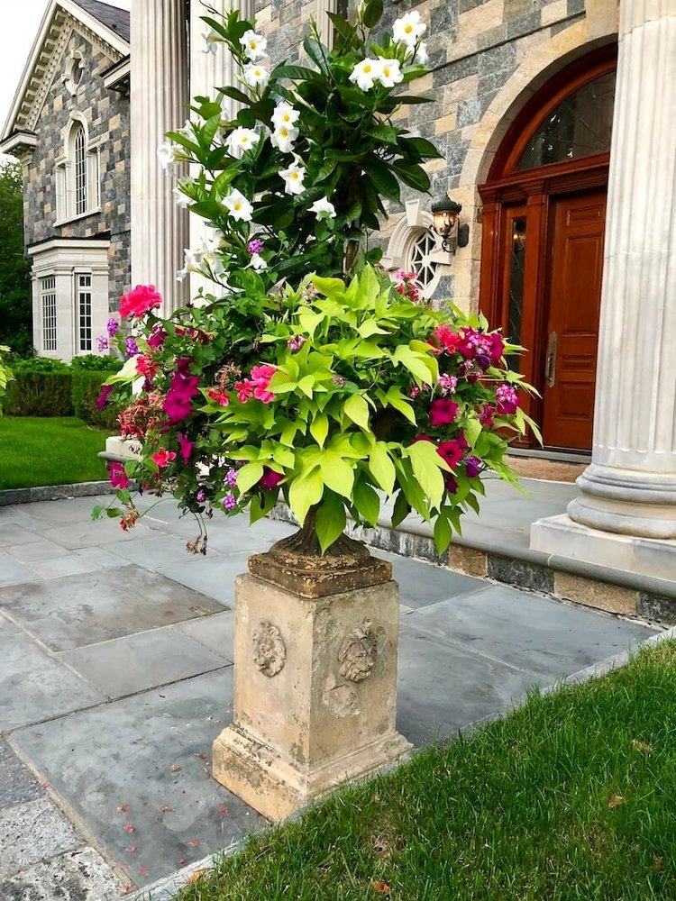 Order Flowers — EARTH GARDEN