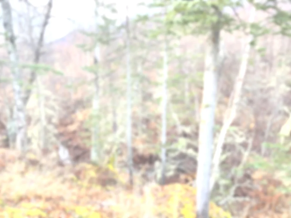 Universal Ministry of Transcendence