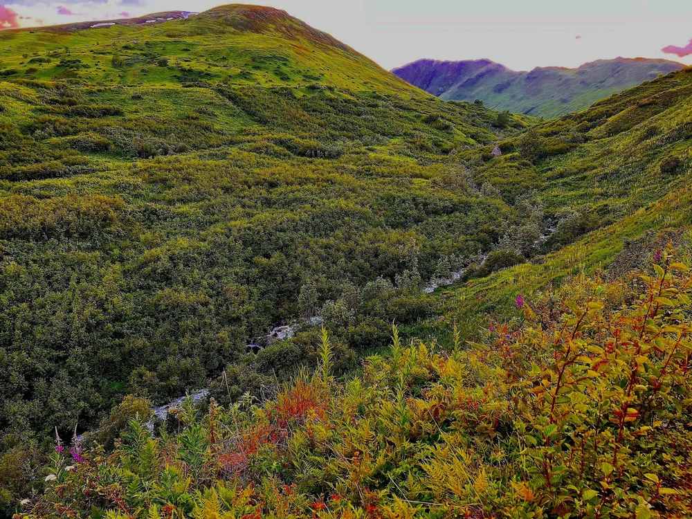 Universal Ministry of Transcendence